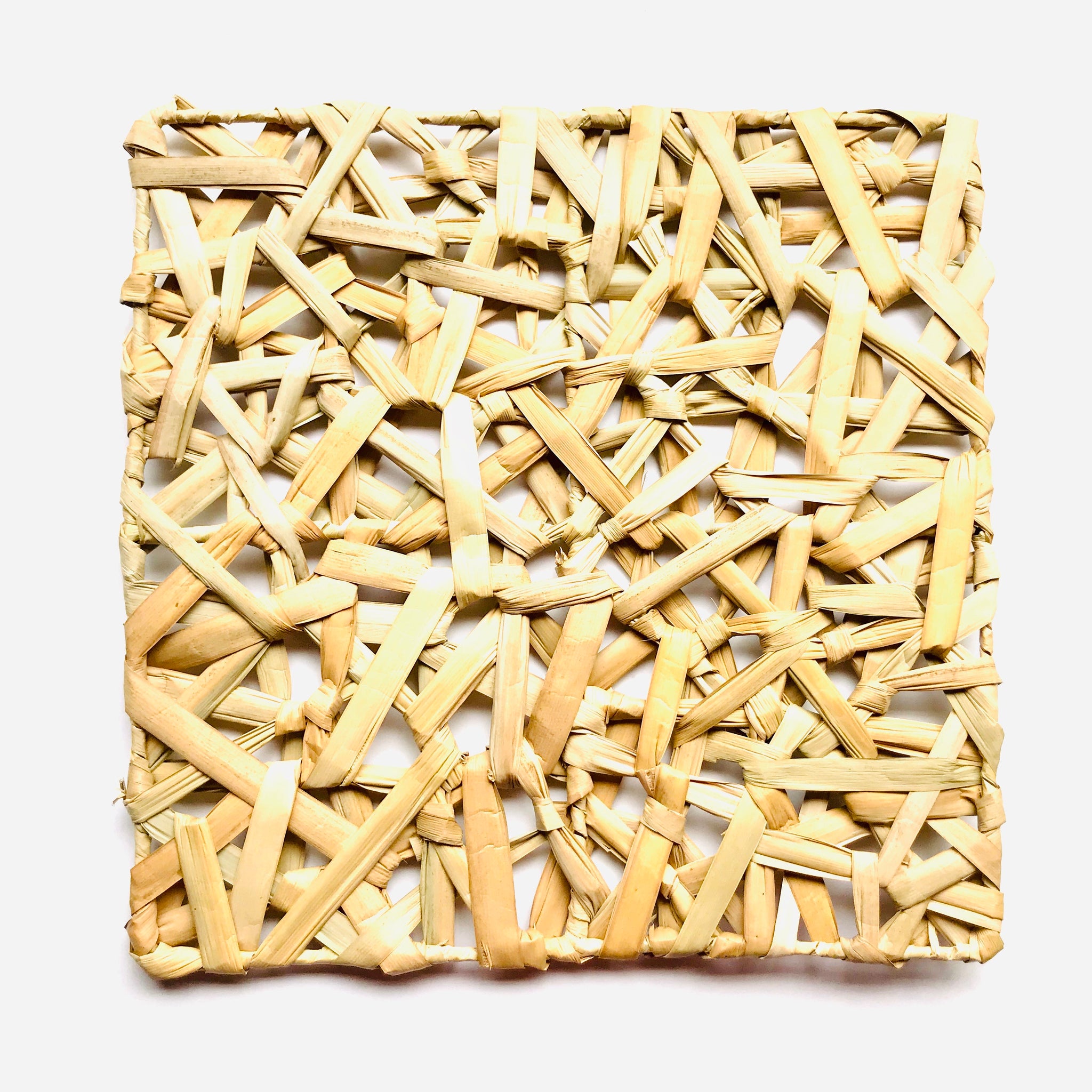 Natural Fibers — Mexico1492